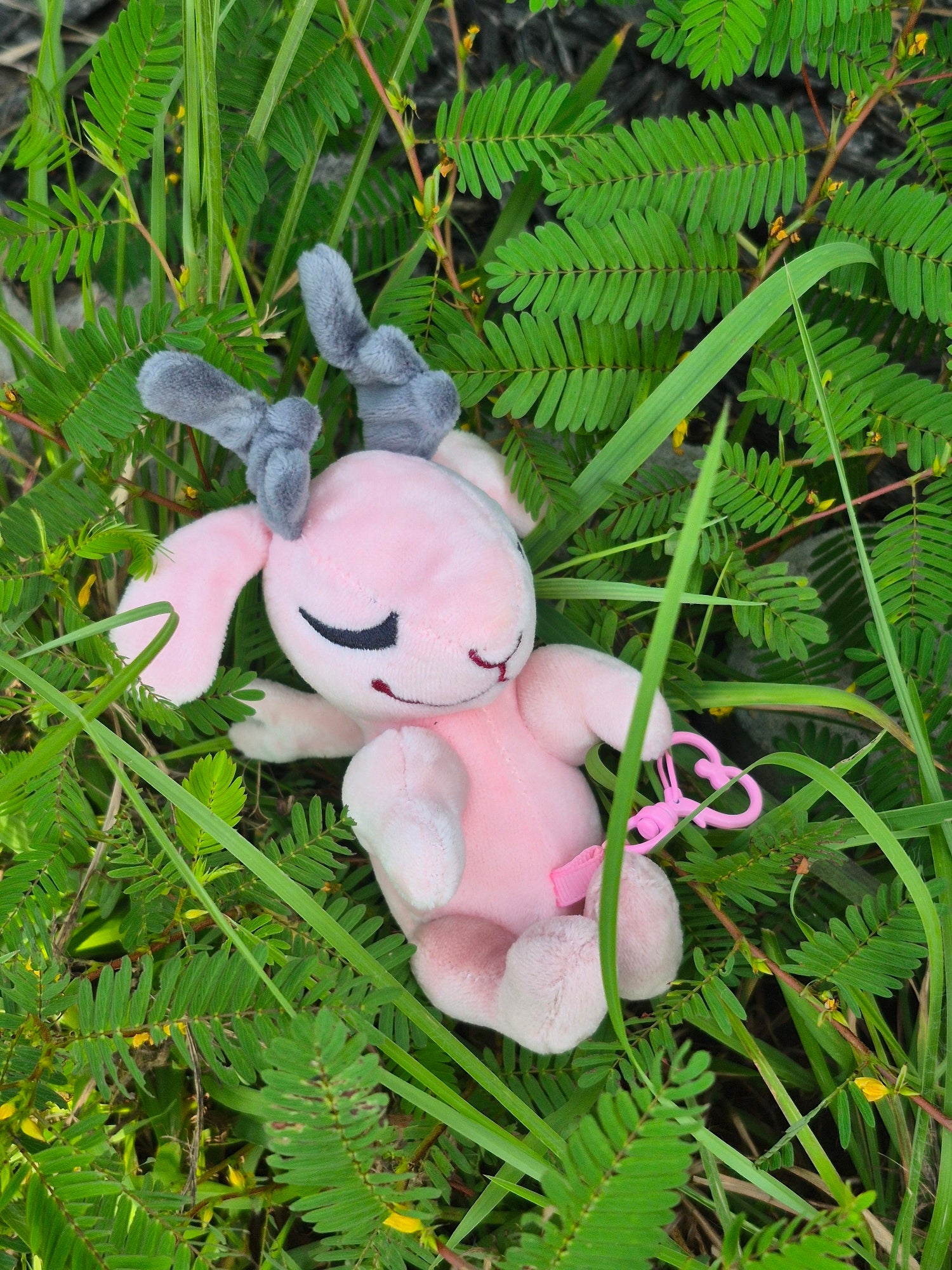 Blind Bag | Cryptid Fetal Friends – Perished Plushies
